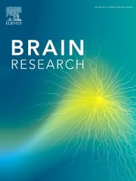 Subscribe to Brain Research - 0006-8993 | Elsevier Shop | Elsevier Shop