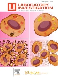 Subscribe to Laboratory Investigation - 0023-6837 | Elsevier Shop ...