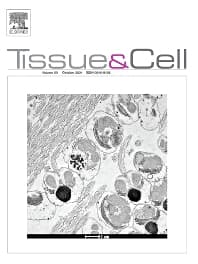 Subscribe to Tissue and Cell - 0040-8166 | Elsevier Shop | Elsevier Shop