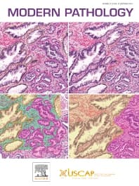 Subscribe to Modern Pathology - 0893-3952 | Elsevier Shop | Elsevier Shop