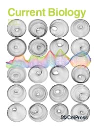 Subscribe to Current Biology - 0960-9822 | Elsevier Shop | Elsevier Shop