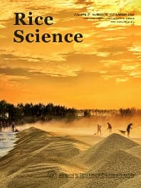 Subscribe to Rice Science - 1672-6308 | Elsevier Shop | Elsevier Shop