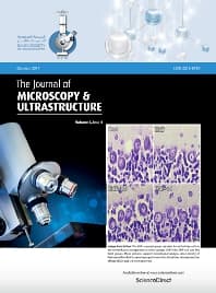 Subscribe to Journal of Microscopy and Ultrastructure - 2213-879X ...