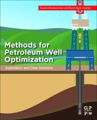 Methods for Petroleum Well Optimization - 1st Edition | Elsevier Shop