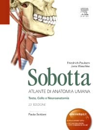Sobotta - Atlante di Anatomia Umana - 23rd Edition | Elsevier Shop